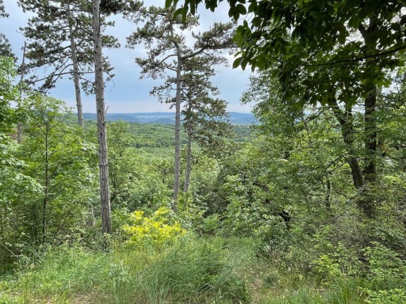 Hike, nature & picturesque view over Budapest - What to Expect in Terms of Logistics and Experience