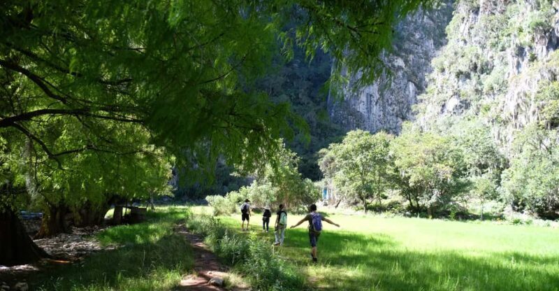 Hike + Swim at Apoala Waterfalls - The Return and the Local Meal