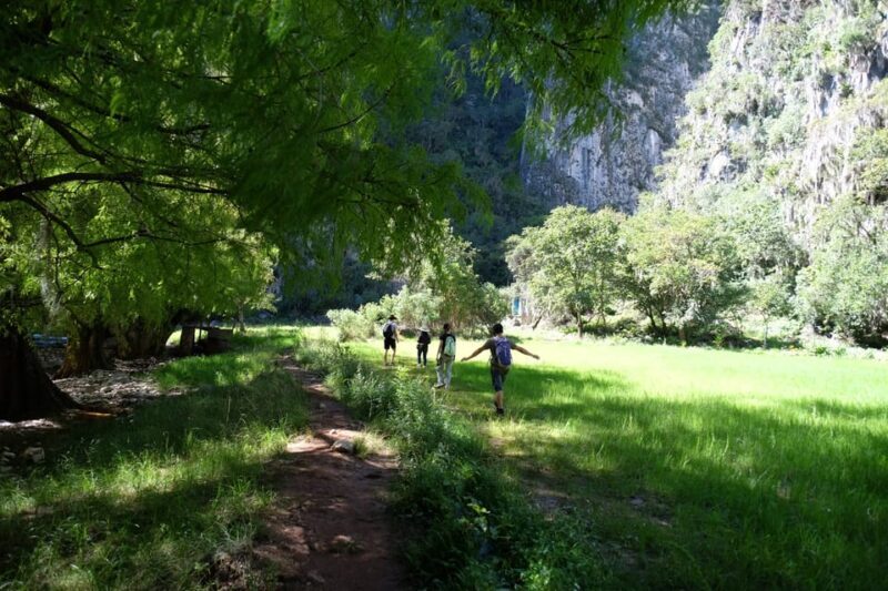 Hike + Swim at Apoala Waterfalls - Why This Tour Is Worth Considering