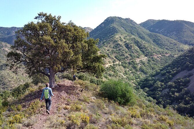 Hike the Cork Oak trail and try some Delicious Cheese - Exploring the Sierra Espadán: A Hiking Tour That Combines Nature and Flavor
