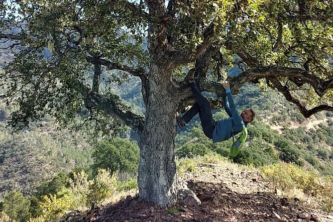 Hike the Cork Oak trail and try some Delicious Cheese - A Closer Look at the Hike and What to Expect