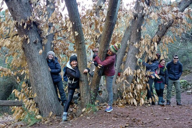 Hike the Cork Oak trail and try some Delicious Cheese - Frequently Asked Questions