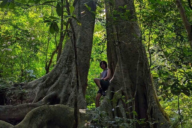 Hike the Heart of Cat Ba National Park Trekking, Biking, Kayaking - Key Points