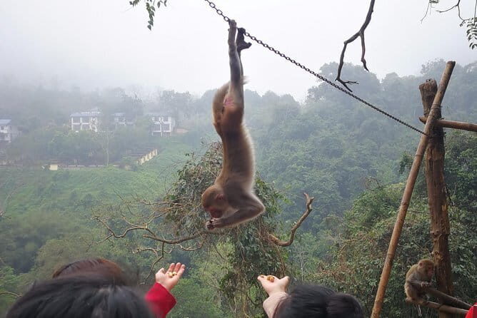 Hike the monkey hill - Key Points