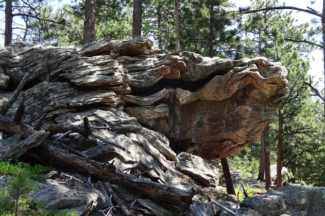 Hike the Rockies Half Day Tour - FAQ