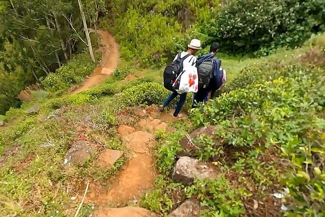 Hike to Devil's Staircase - An In-Depth Look at the Devil’s Staircase Hike