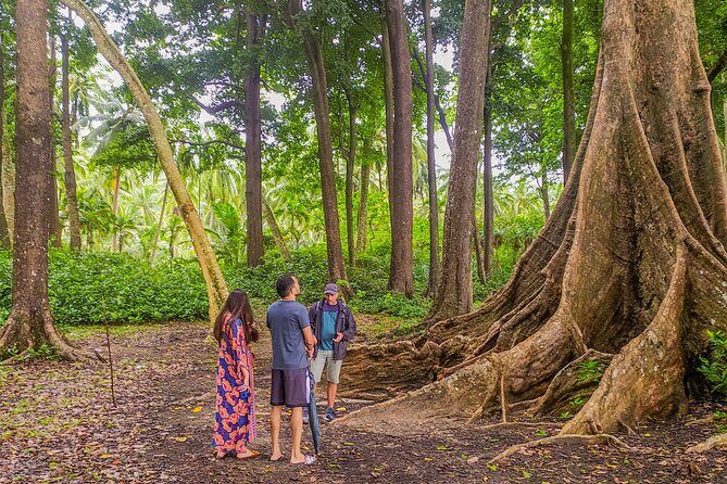 Hike to Elephant beach exploring tropical flora and fauna - An Overview of the Elephant Beach Trek Experience