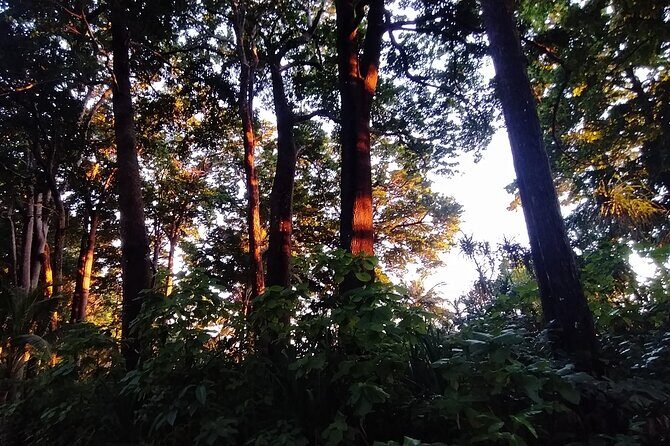 Hike to Elephant beach exploring tropical flora and fauna - The Arrival at Elephant Beach