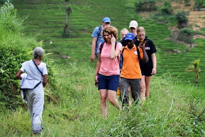 Hike to Heeloya Village Hike via Rangala - Exploring the Heeloya Village Hike via Rangala: A Clear Eyes Review