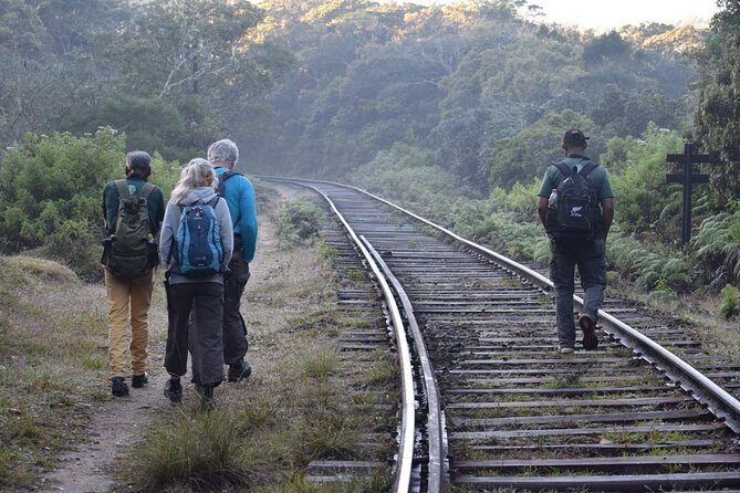 Hike to Horton Plains Border via Rail Tracks - An Authentic Trek Through Sri Lanka’s Highlands: Hike to Horton Plains Border via Rail Tracks