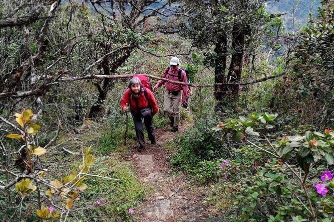Hike to Kirigalpotta Mountain Via Horton Plains National Park - A Deep Dive into the Trekking Experience