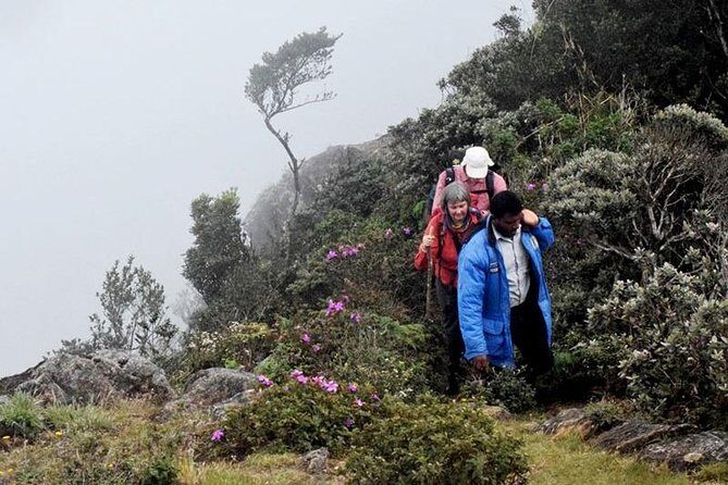 Hike to Kirigalpotta Mountain Via Horton Plains National Park - Who Is This Tour Best Suited For?