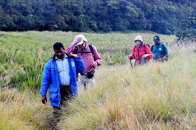 Hike to Kirigalpotta Mountain Via Horton Plains National Park - The Sum Up