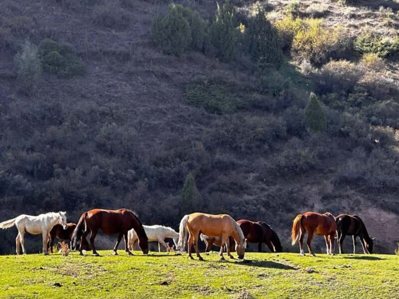 Hike to Lake Kol-Tor in the Kegety Gorge with guide - FAQs