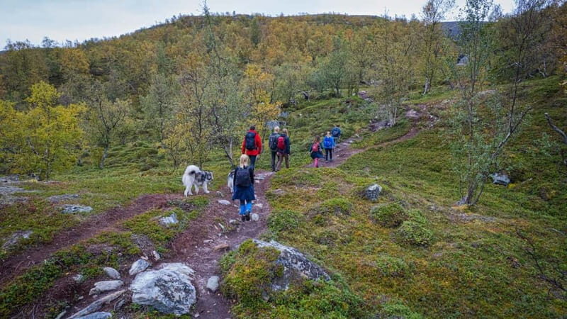 Hike to Orvvosfossen Waterfall - Final Thoughts