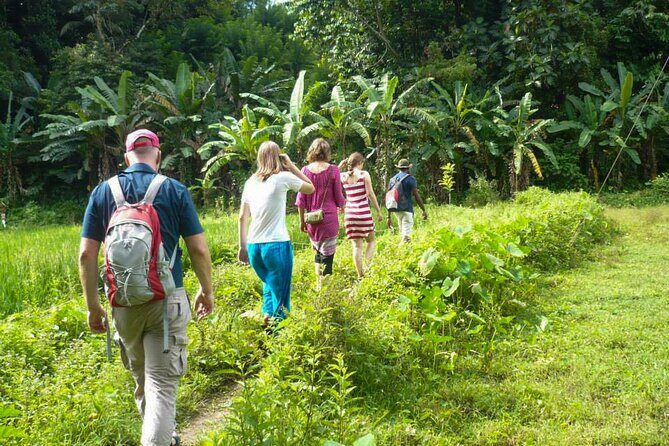 Hike to Peacock Hill from Kandy - Introduction