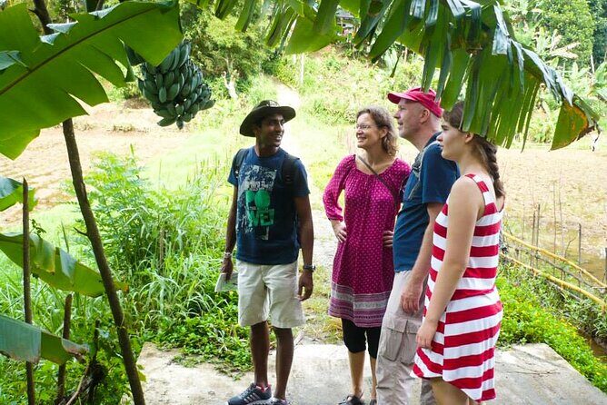Hike to Peacock Hill from Kandy - Who is This Tour Best Suited For?