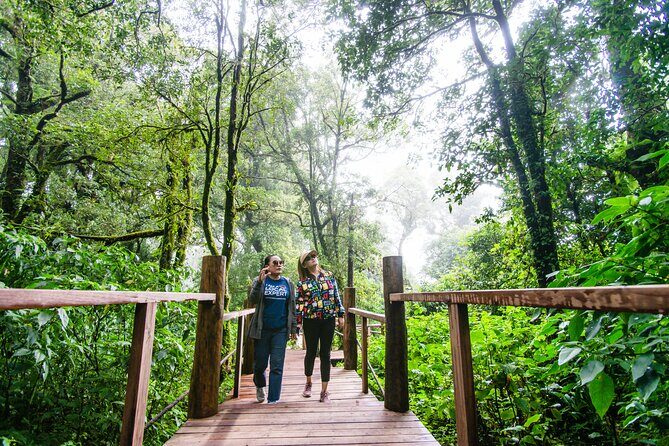 Hike to the Highest Spot + Waterfall in Chiang Mai - Practical Tips for Travelers