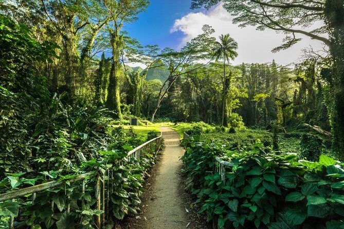 Hike Trail to Waterfall & Nature Walk - An In-Depth Look at the Tour Itinerary