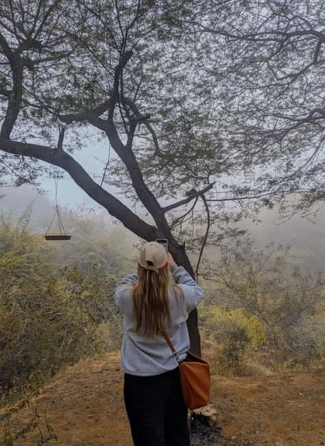 Hike/Trek/Nature Walk with Sunrise Views, Birding & CityView - Who Would Love This Tour?