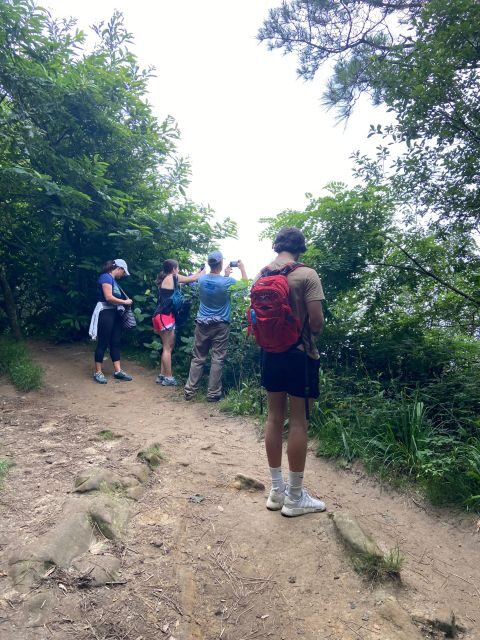 Hike Ulia | San Sebastian: El Camino de Santiago (The Way) - Introduction
