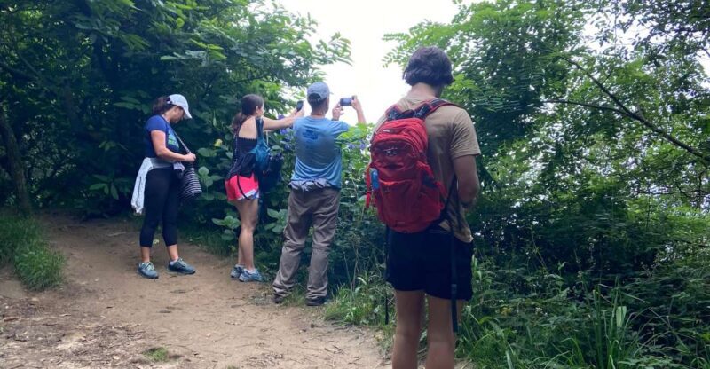 Hike Ulia | San Sebastian: El Camino de Santiago (The Way) - Authenticity and Guides: Why They Matter