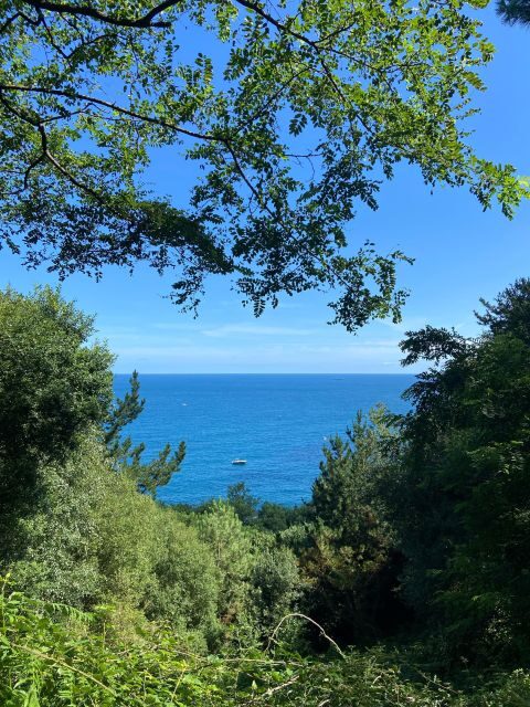 Hike Ulia | San Sebastian: El Camino de Santiago (The Way) - Final Thoughts