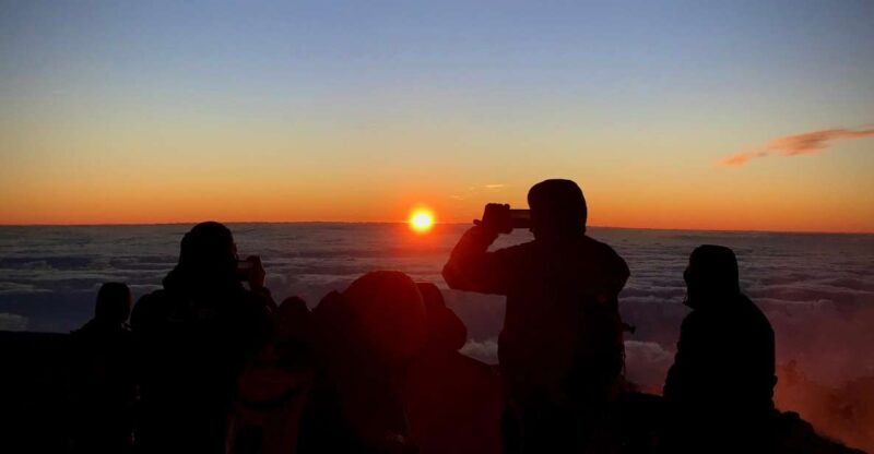 Hike under stars and Skywatching with astronomer at Teide - What Real Travelers Say