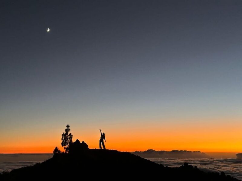 Hike under stars and Skywatching with astronomer at Teide - The Sum Up: Who Will Love This Tour?