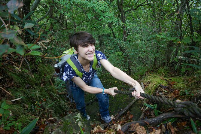 Hike up Mt. Omine and enjoy the view of Miyajima - Key Points