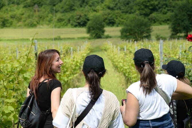 Hike & Wine Tour - FAQs