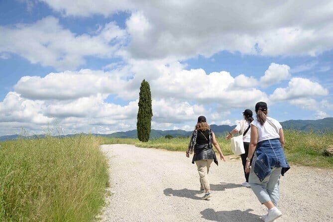 Hike & Wine Tour - A Closer Look at the Hike & Wine Experience