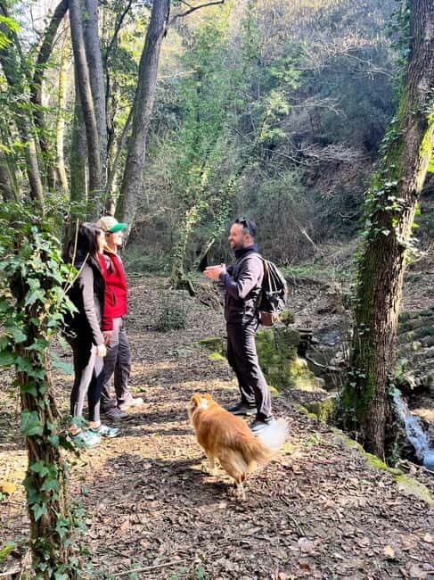 Hike with Lunch & Wine in da Vincis Land in Tuscany - Exploring Tuscanys Leonardo da Vinci Land: A Guided Hike with Lunch & Wine