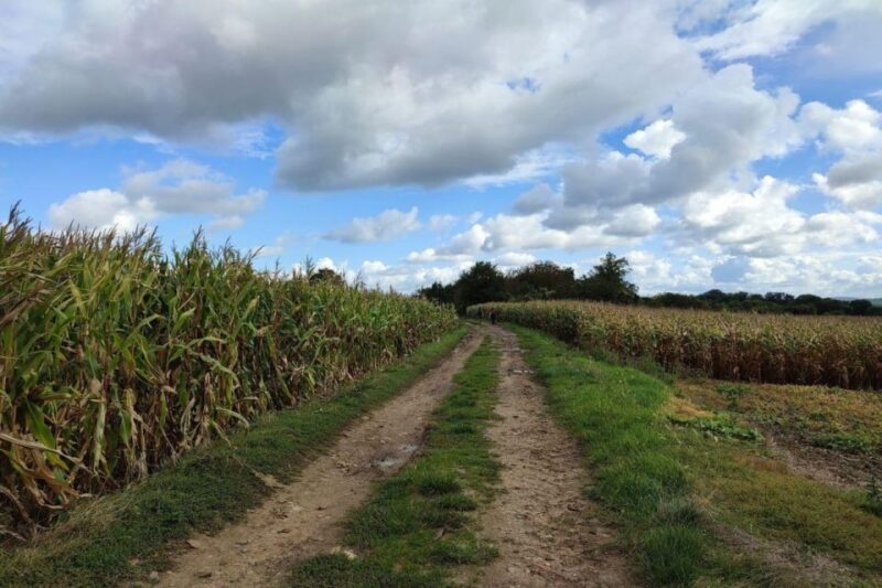 Hiking Adventure in Van Gogh's footsteps (6 miles walk) - An Uncommon Journey Into Van Gogh’s World