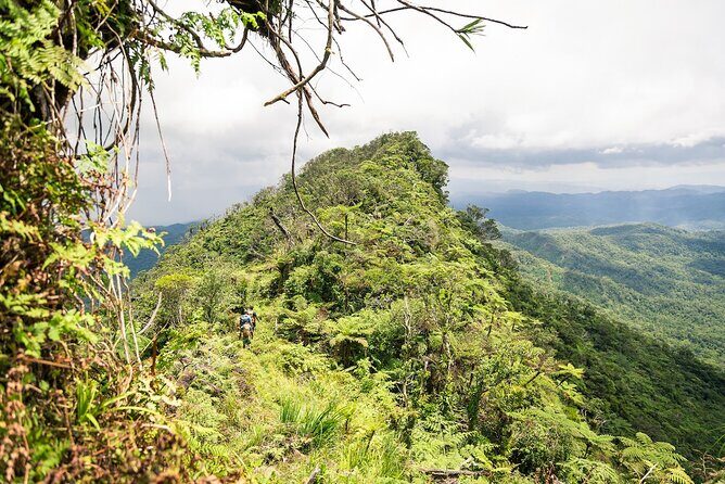 Hiking Adventure including Fiji's Highest Mountain and 3 Nights - Exploring Fiji’s Heart on a 4-Day Hiking Adventure