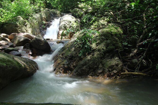 Hiking Adventure: River Trails & Waterfall Wonders - What You’ll Usually Experience