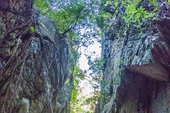 Hiking Adventure: River Trails & Waterfall Wonders - Real Feedback from Participants