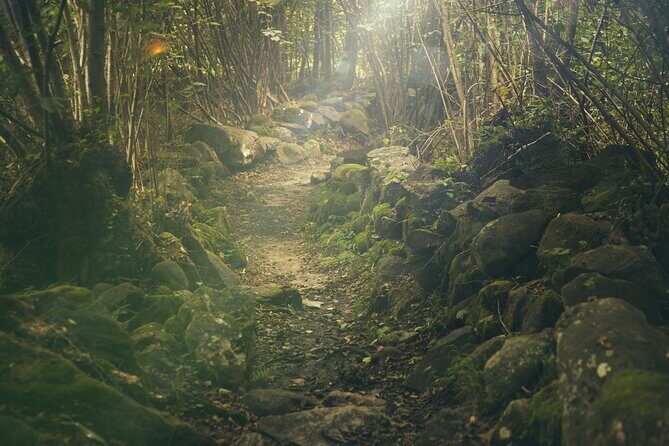 Hiking Adventure: River Trails & Waterfall Wonders - Practical Details to Keep in Mind