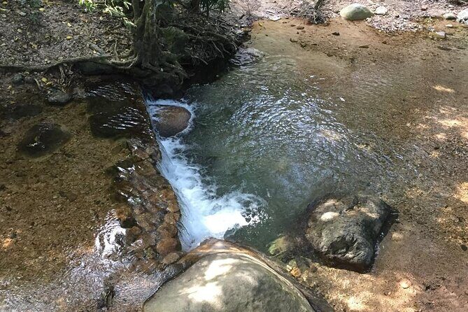 Hiking Adventure: River Trails & Waterfall Wonders - Who Should Consider This Tour?