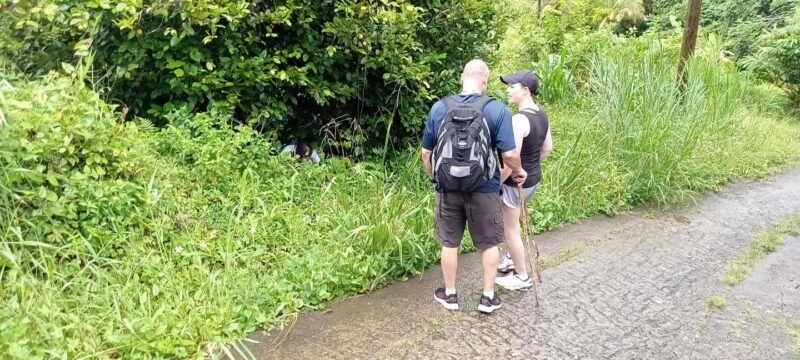 Hiking Adventure Through Grand E'tang RainForest - FAQ