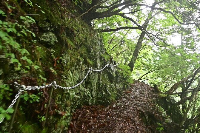 Hiking Adventure to Mt. Kawanori, into Tokyos Wilderness - The Sum Up