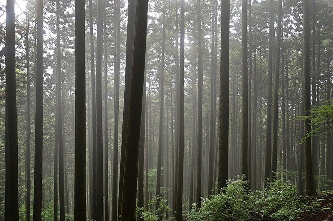 Hiking Adventure to Mt. Kawanori, into Tokyos Wilderness - FAQ