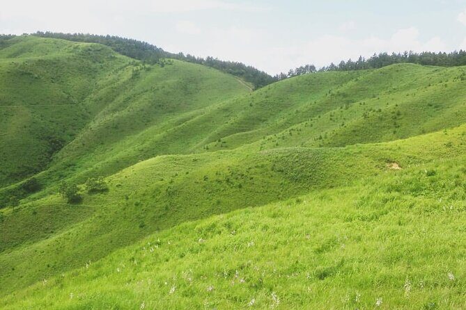 Hiking and a Temple Retreat in the Mountains of Hiroshima - Key Points