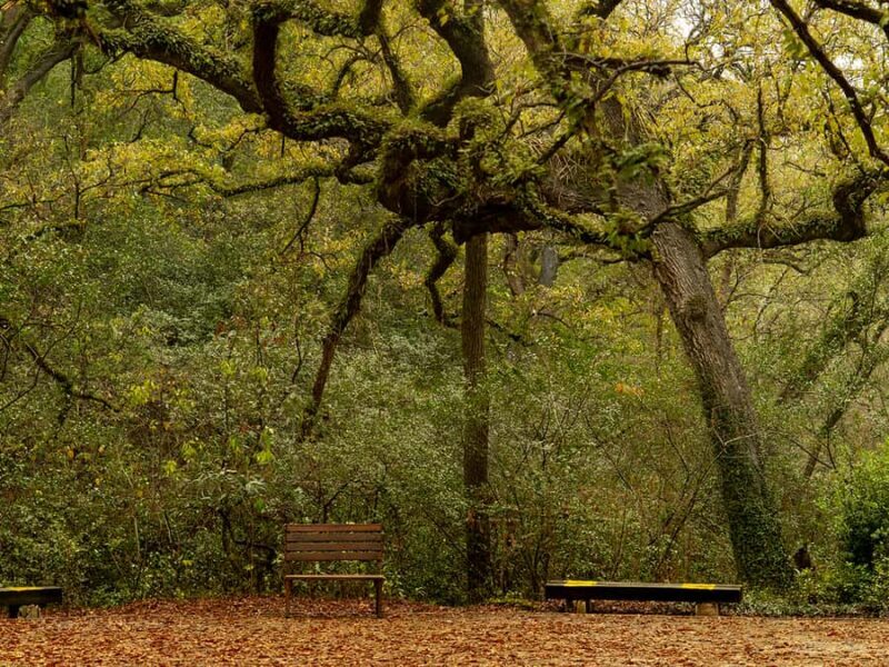 Hiking and a visit to a waterfall in the city: La Estanzuela - Exploring La Estanzuela: A Guided Hike to Monterrey’s Hidden Waterfall