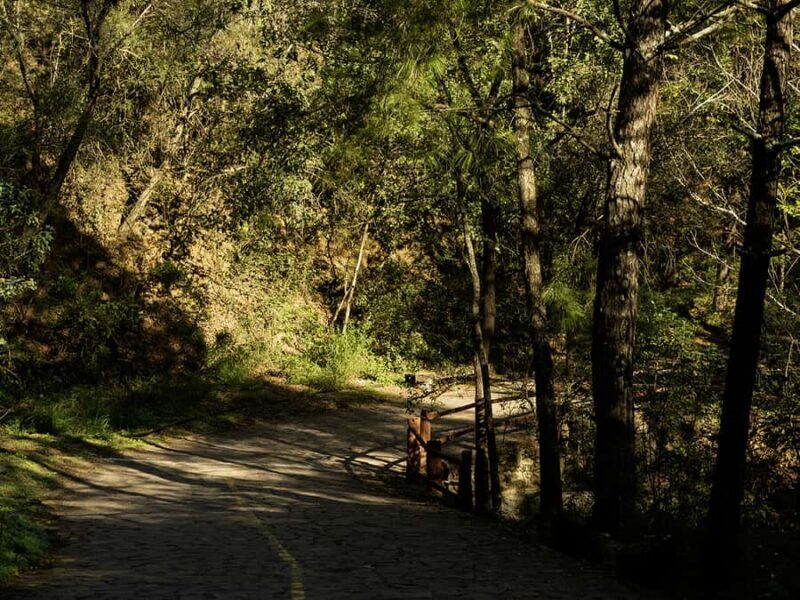 Hiking and a visit to a waterfall in the city: La Estanzuela - Key Points