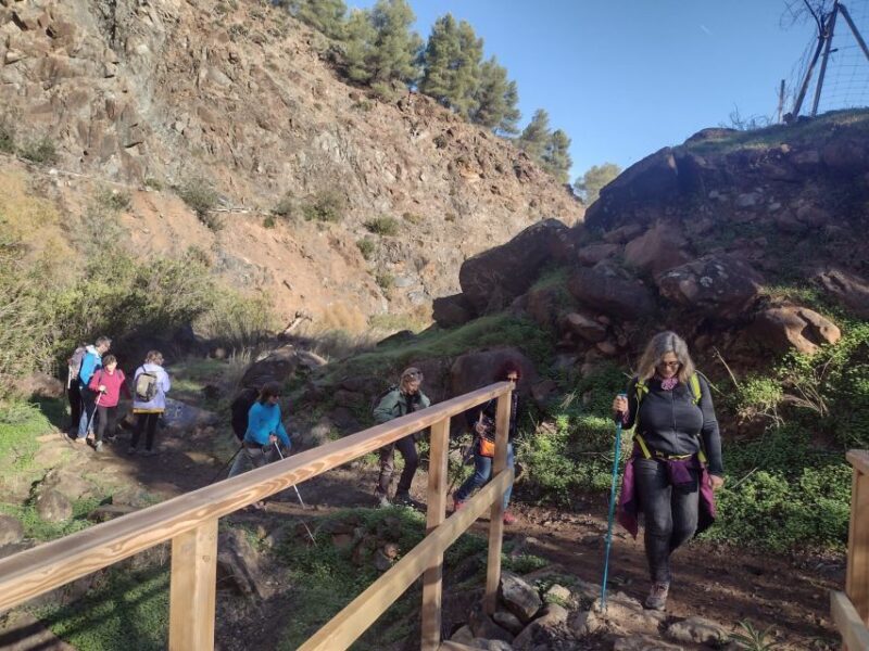 Hiking and bathing in natural pools in the National Park - Experience the Natural Charm of Sierra de las Nieves