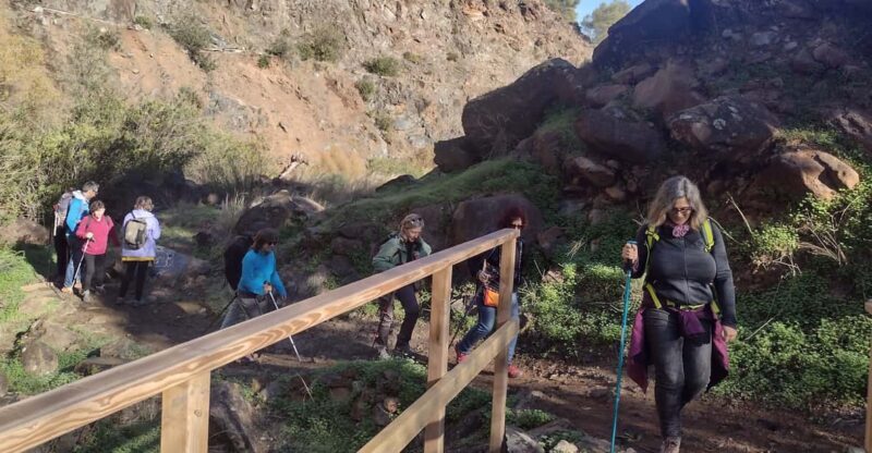 Hiking and bathing in natural pools in the National Park - A Close Look at the Tour: Hiking and Swimming in Nature
