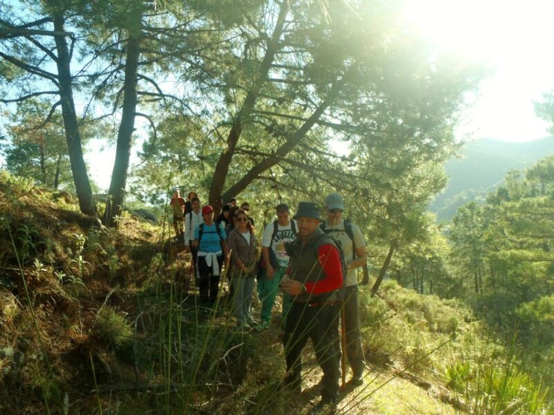 Hiking and bathing in natural pools in the National Park - Final Thoughts: Is This Tour Right for You?