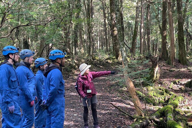 Hiking and Caving in Aokigahara Forest at the Foot of Mt. Fuji - Key Points