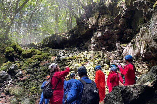 Hiking and Caving in Aokigahara Forest at the Foot of Mt. Fuji - Authentic and Practical Experience